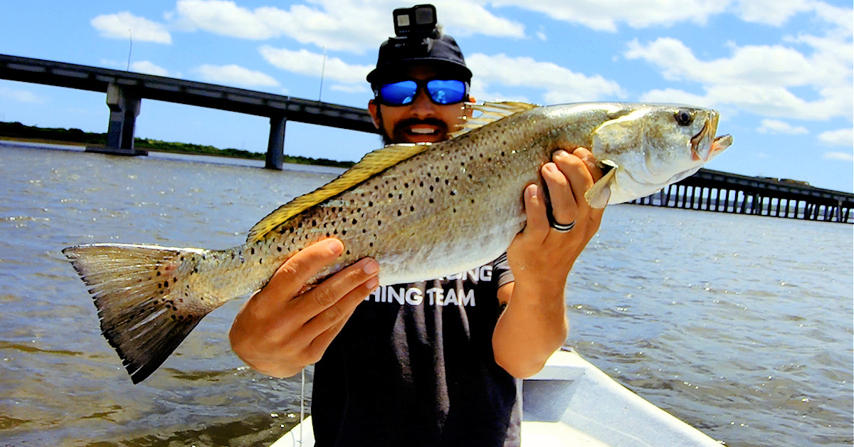 How To Use Live Shrimp Under A Popping Cork (On A Windy Day)