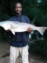 How To Rig A Berkley Gulp Pogy Soft Plastic Tail To Catch More Fish.