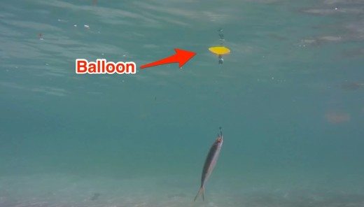 Saltwater Balloon Fishing: How To Effectively Fish Live Or Dead Bait ...