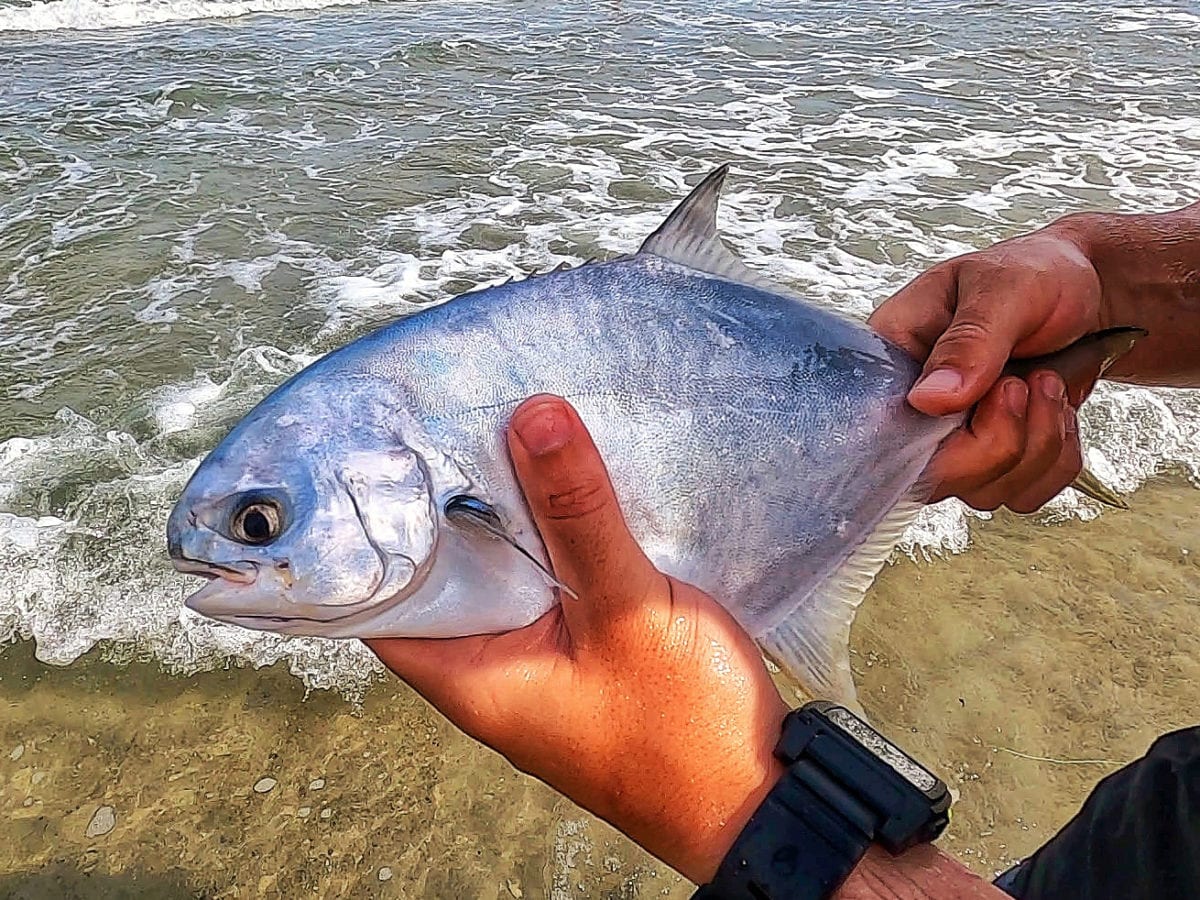 Shock Leaders: When & How To Use Them For Surf Fishing