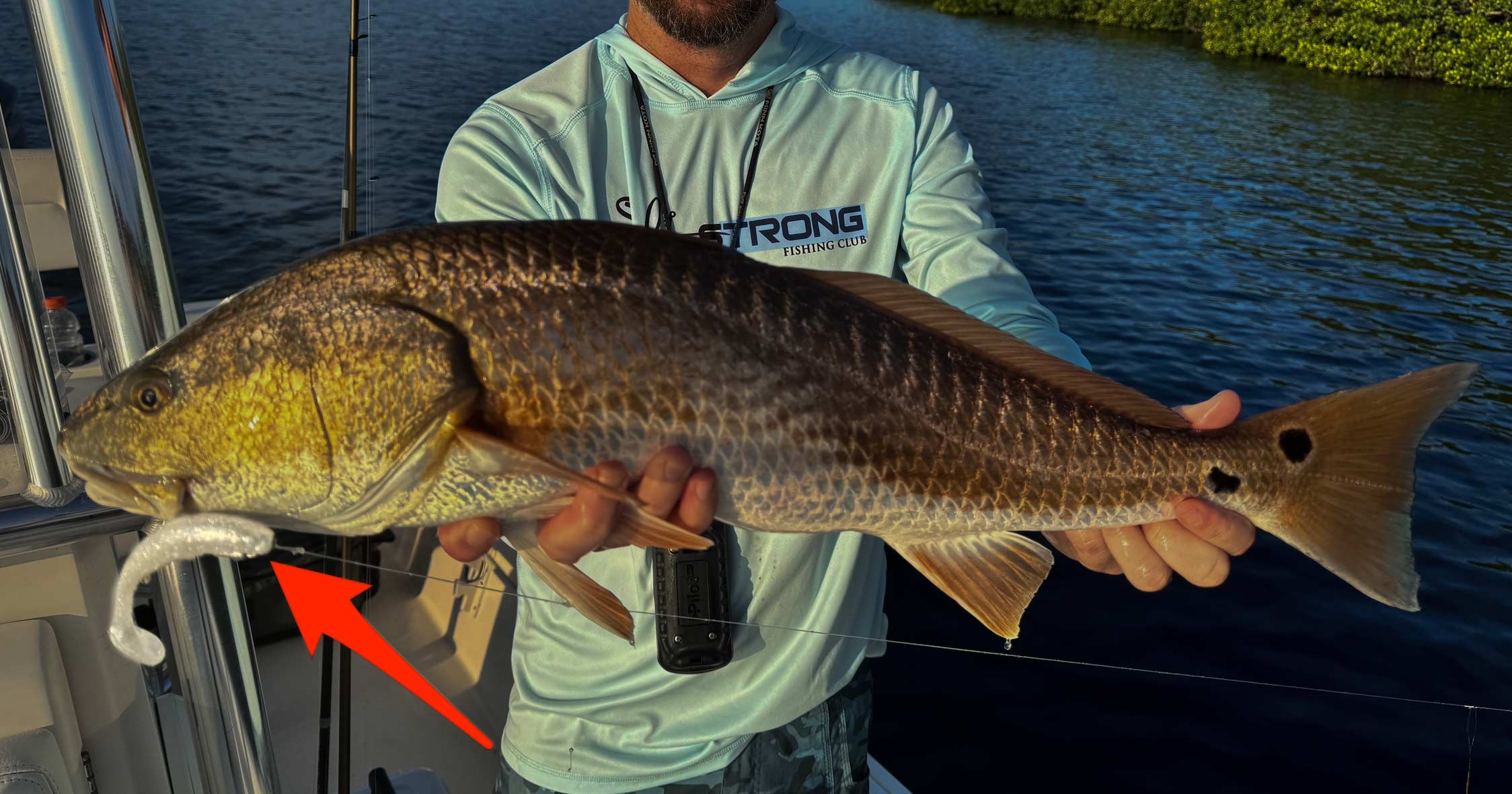 Is This The Best Lure For Big Redfish & Seatrout During The Fall?