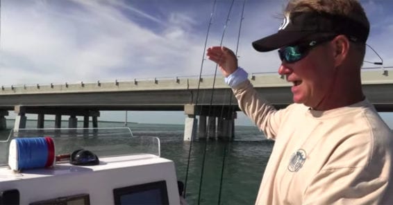 Amazing Bridge Fishing Success With This New Shrimp Lure