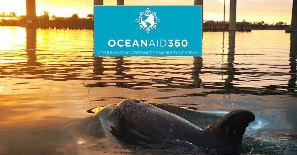 What You Need To Know: Underwater Ghost Traps Are Killing Fish