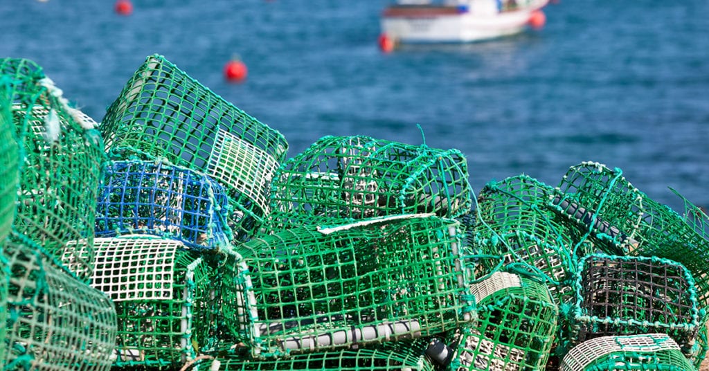 What You Need To Know: Underwater Ghost Traps Are Killing Fish