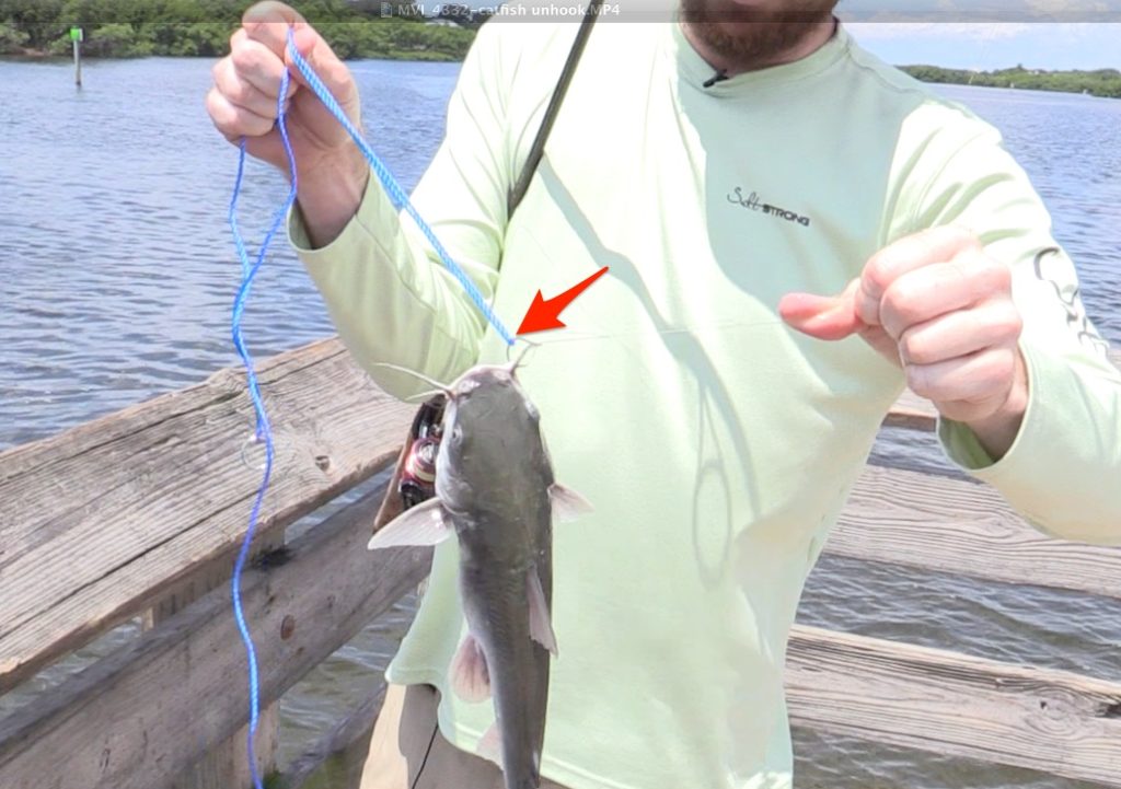 How To Unhook A Saltwater Catfish With Or Without Touching It [VIDEO]