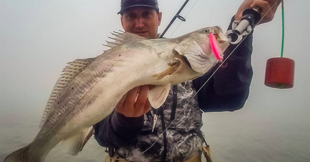 GATOR TROUT: Catching Big Specks With The Speckled Truth