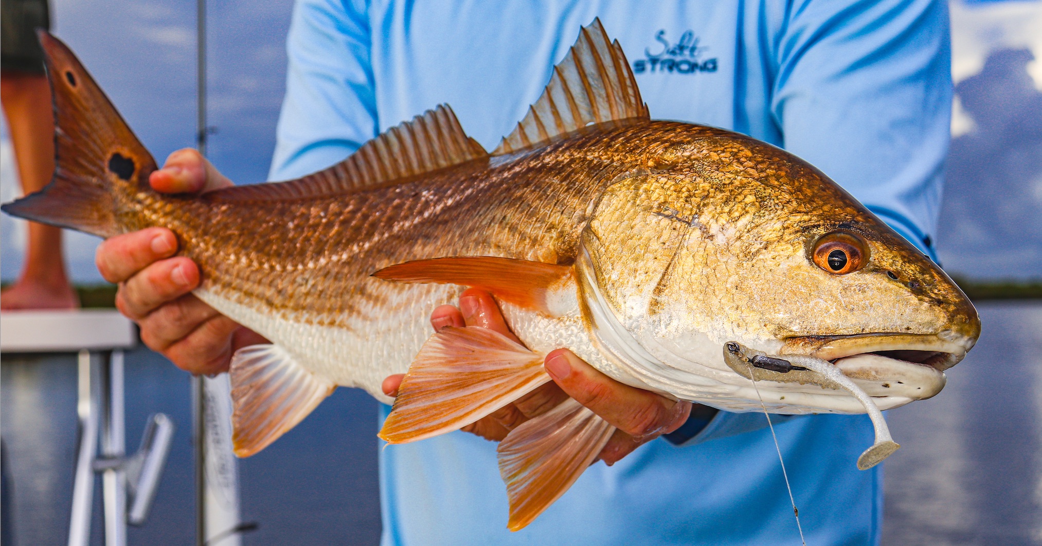 #1 Spot To Quickly Find Redfish At Low Tide
