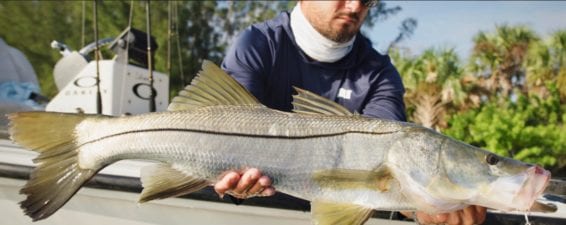 Live Bait Rigs: Best Overall Rig For Inshore Fishing (And The Worst Rig)