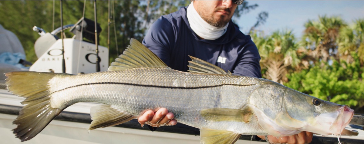 Live Bait Rigs: Best Overall Rig For Inshore Fishing (And The Worst Rig)