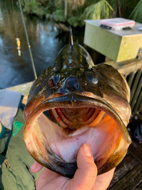 Cameron Kanner » Salt Strong Fishing Club