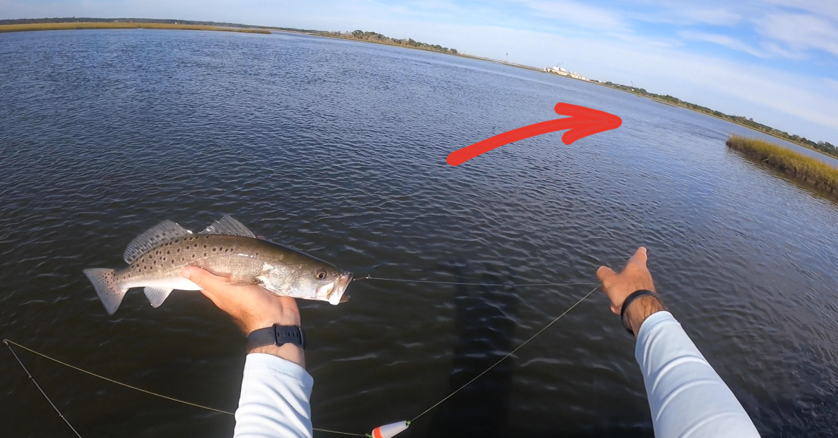 This Is What To Look For When You Are Fishing Points