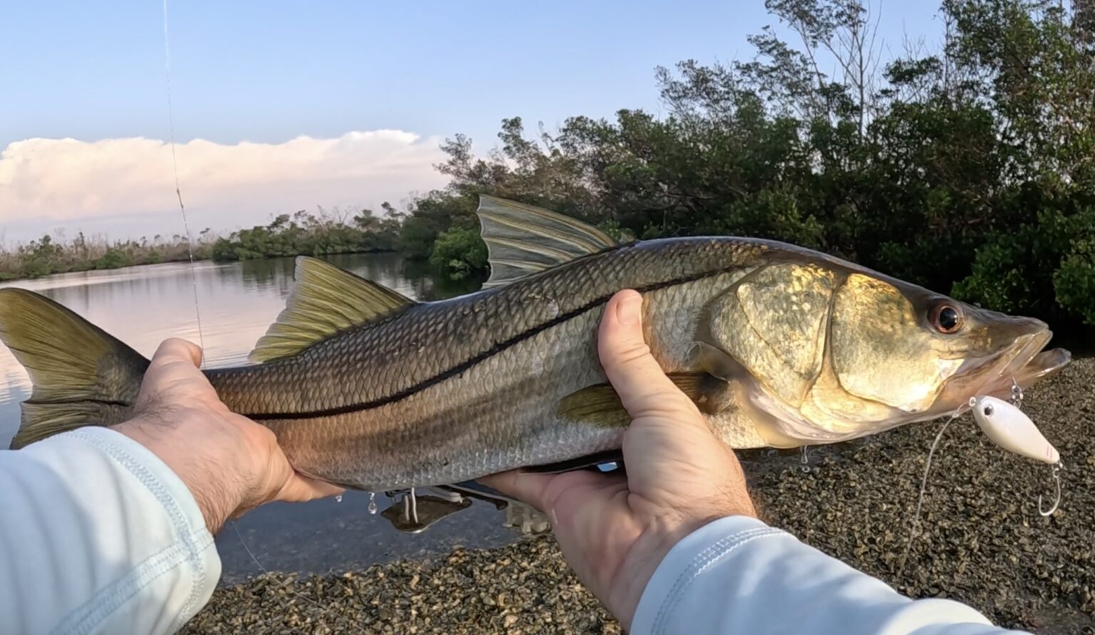 Introducing The Flea Flicker Lure [New Suspending Hard Bait]