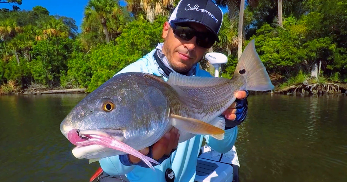 Limited Time F.R.E.D. the Jerk BOGO!!!