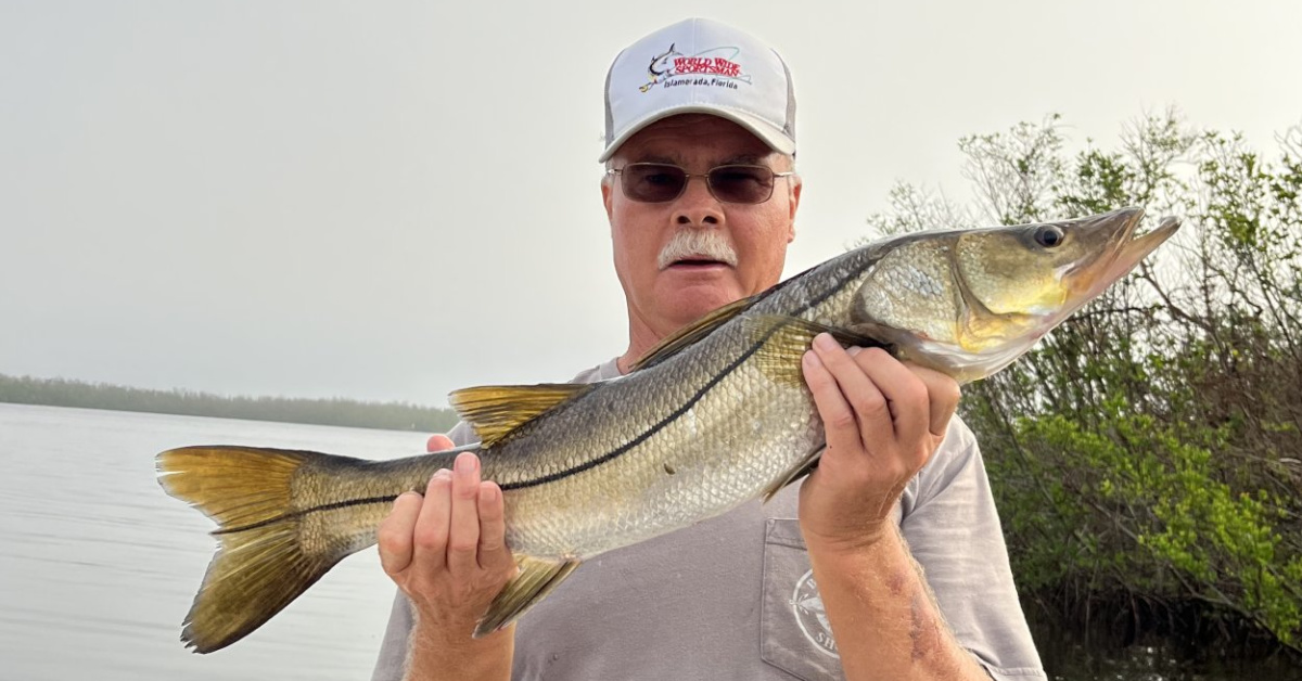 Bull Redfish, Drone Footage, Live Shrimp (Salt Strong Newsletter)