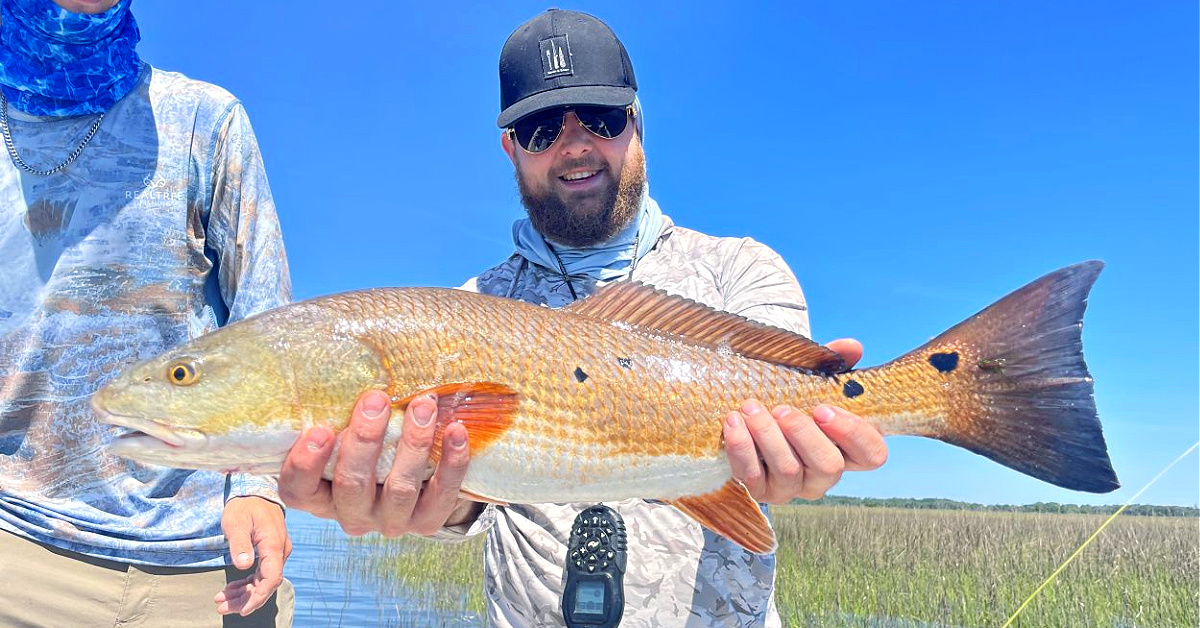 Spring Topwater, Leader Hack, Rod Killers (Salt Strong Newsletter)