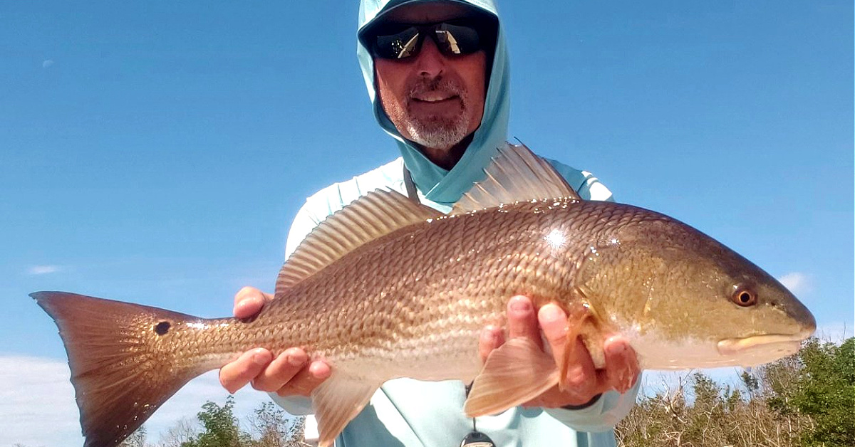 Slot Machine, Wake Bait, Tatula MQ (Salt Strong Newsletter)