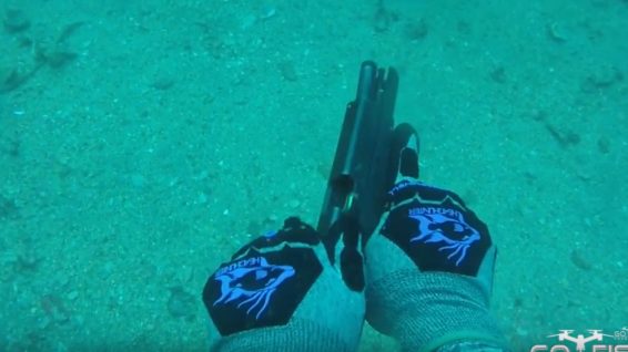 Spearfishing Archives » Salt Strong