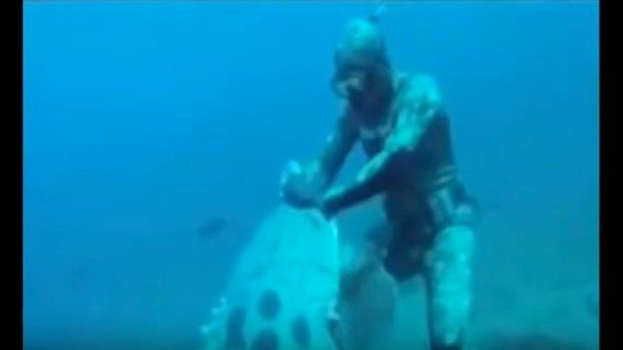 Offshore Fishing Archives » Salt Strong