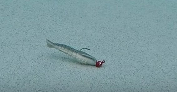 How To Use Gulp Shrimp [Review & Underwater Footage]