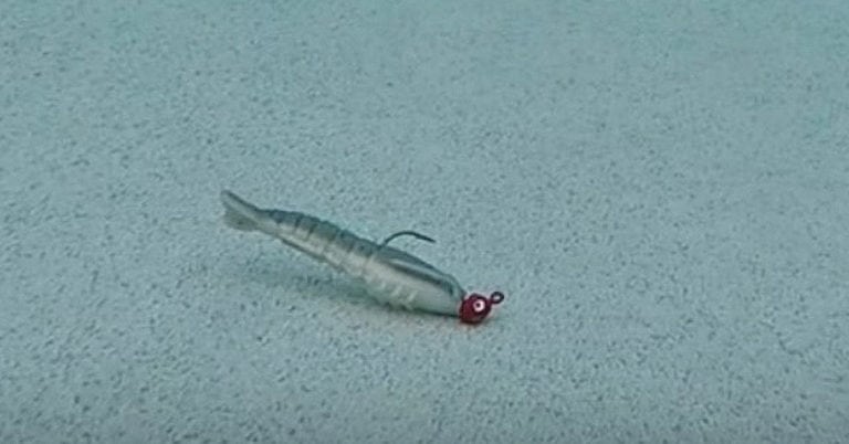 How To Use Gulp Shrimp [Review & Underwater Footage]