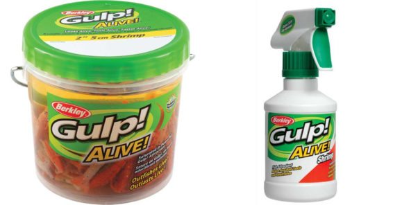 Do Berkley Gulp Baits Really Work? And What’s In That Gulp Juice?