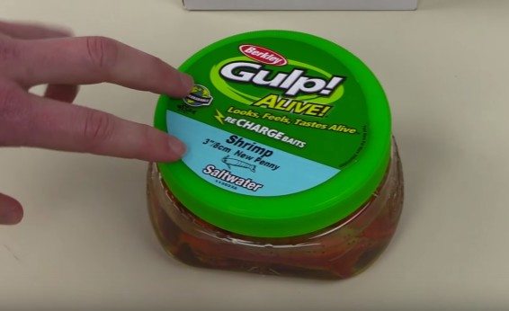 How To Rig Berkley Gulp Saltwater Shrimp For More Bites [VIDEO]