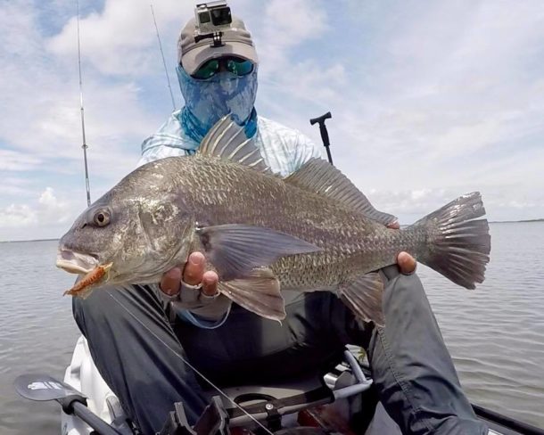 4 Best Fishing Lures For Black Drum (When To Use & How To Rig Them)