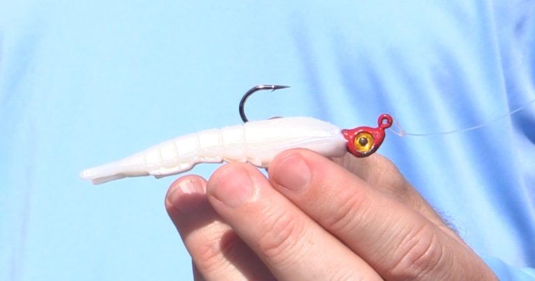 How To Rig Artificial Shrimp Like A Pro (For Any Water Depth)