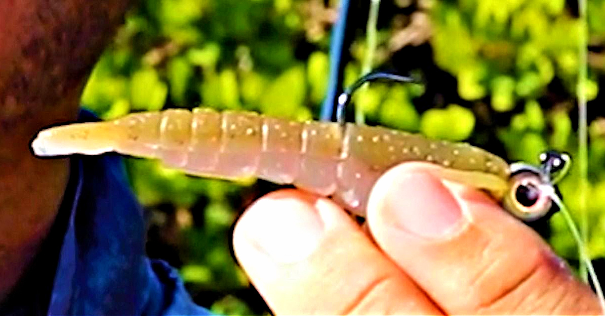 New Gulp! Shrimp Translucent Lures (Do They Actually Work?)
