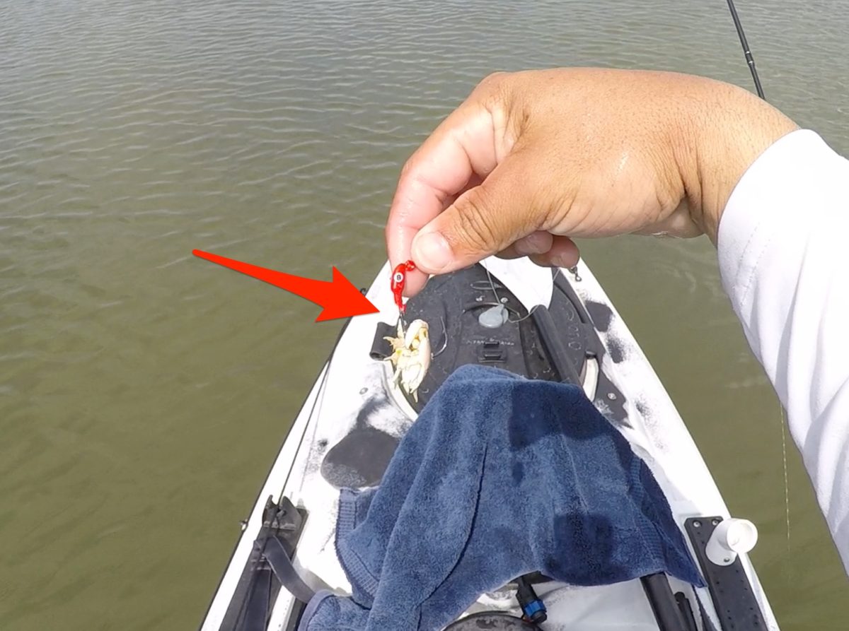 How To Catch Black Drum Using Sand Fleas [VIDEO]