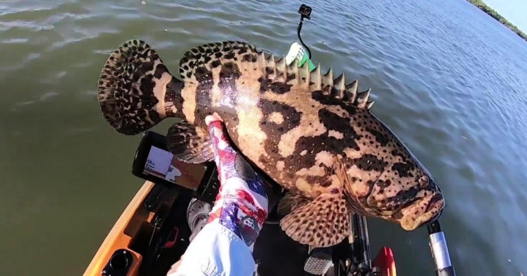 How To Catch An Inshore Slam In New Waters (Without A Boat)