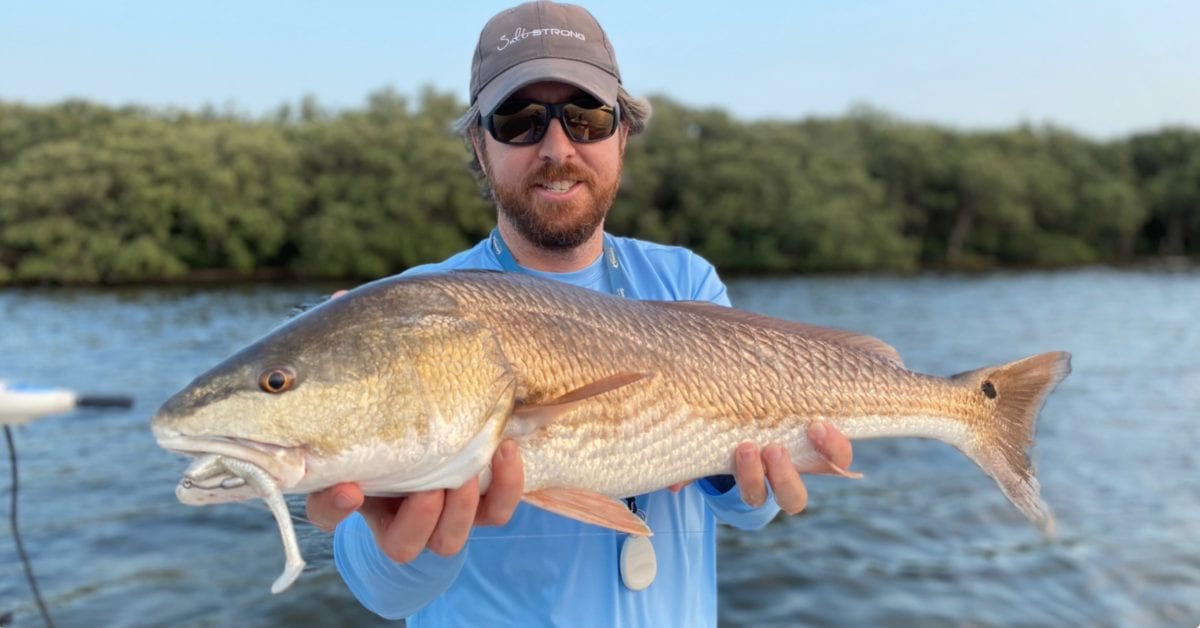 Fishing Hooks: Everything You Need To Know (Brands, Sizes, Types)