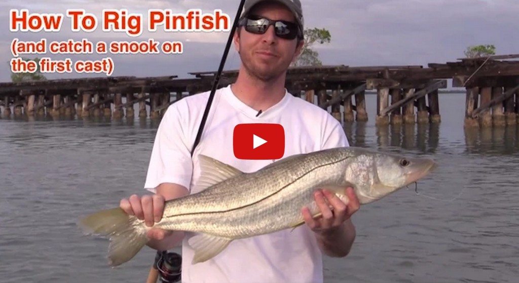 3 Simple Ways To Bridle Rig Your Live Bait To Catch More Fish.