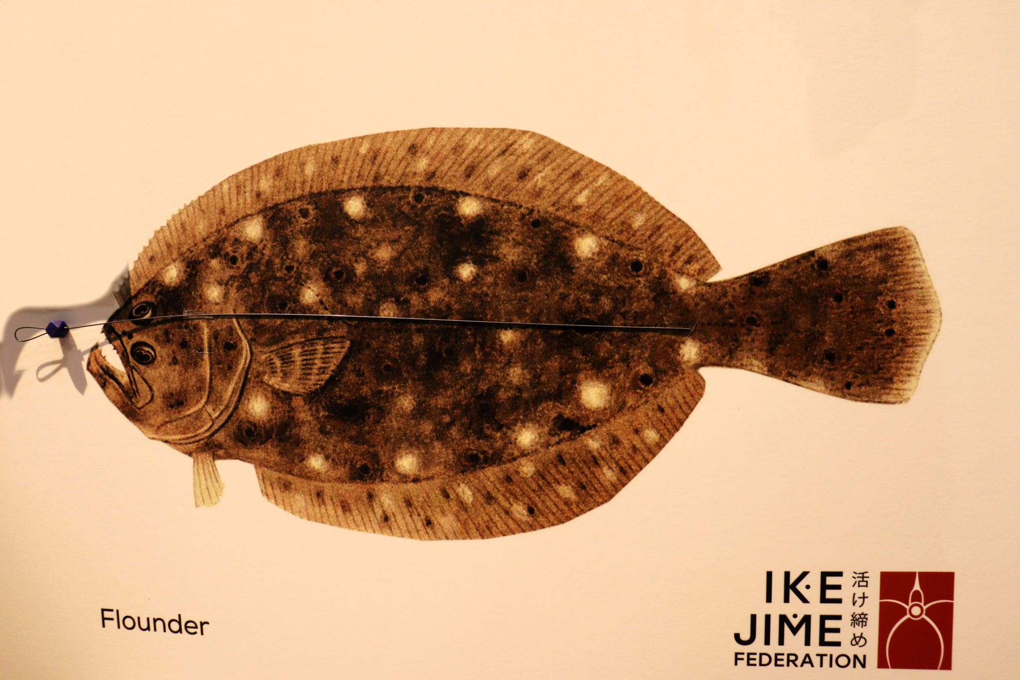 The Ultimate Way To Harvest Your Catch (Ike Jime Method)