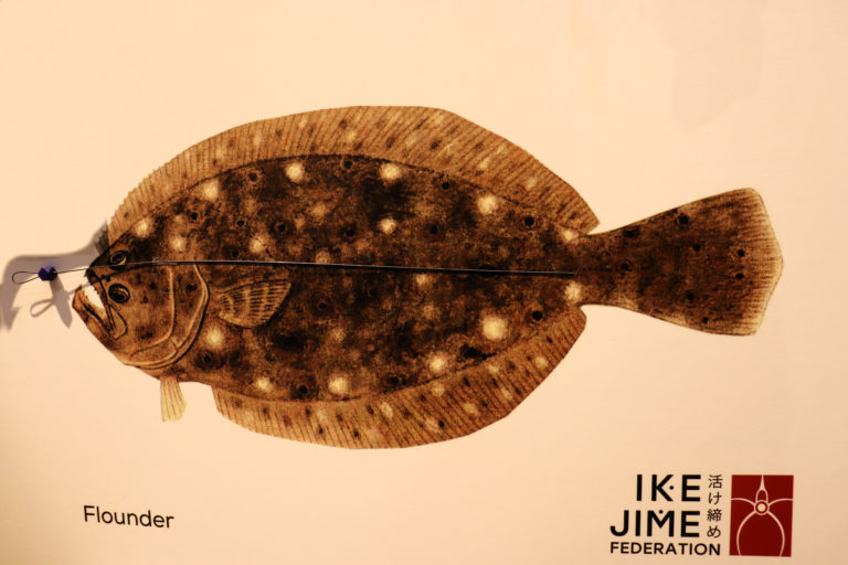 The Ultimate Way To Harvest Your Catch (Ike Jime Method)