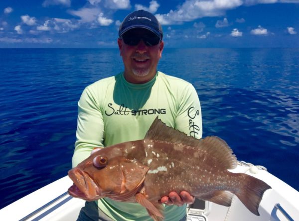 The Best Way To Cook Grouper [10 Amazing Grouper Recipes]