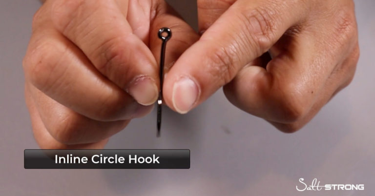 The Best Live Bait Hooks For Catching Redfish