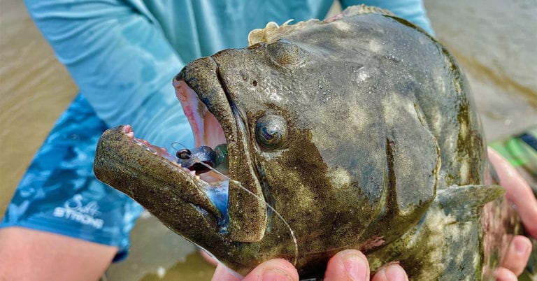 Flounder Fishing (Best Spots, Lures, Tips, & Rigging For More Flounder)