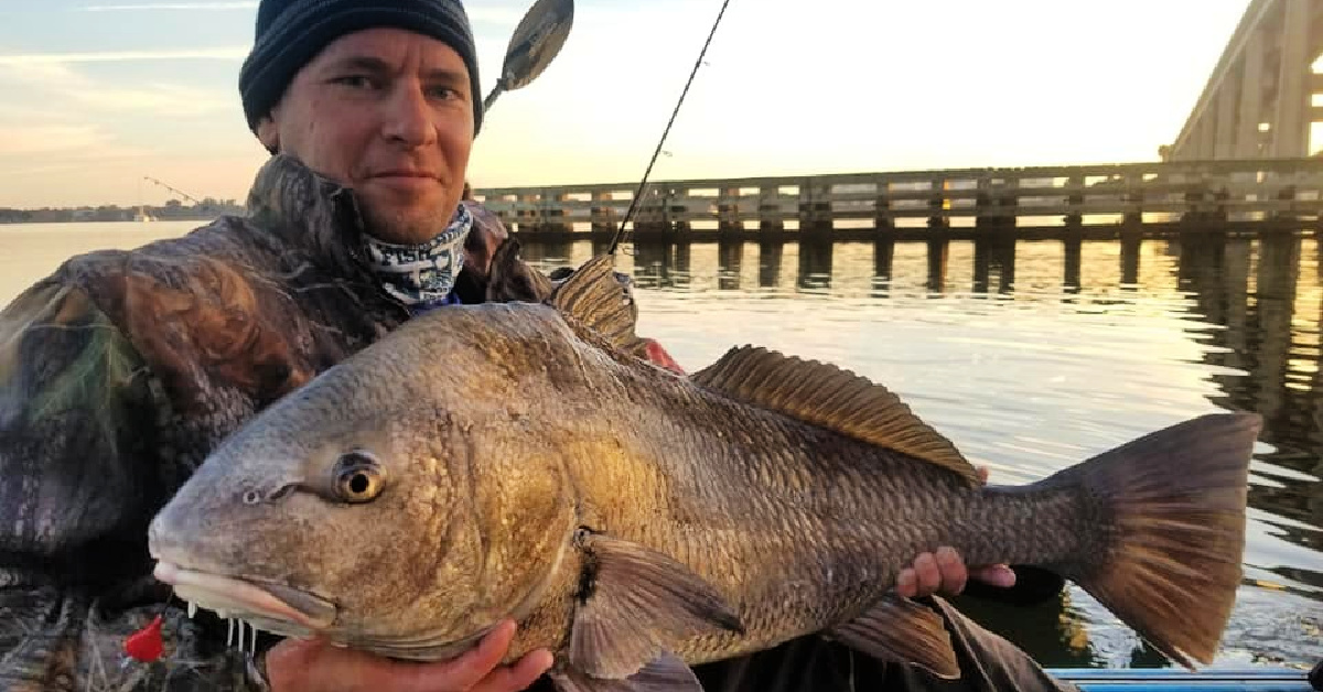 What Are The Best-Kept Bridge Fishing Secrets (And Biggest Mistakes)