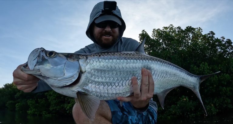 This Lure Retrieve Works Extremely Well For Tarpon [Fishing Report]