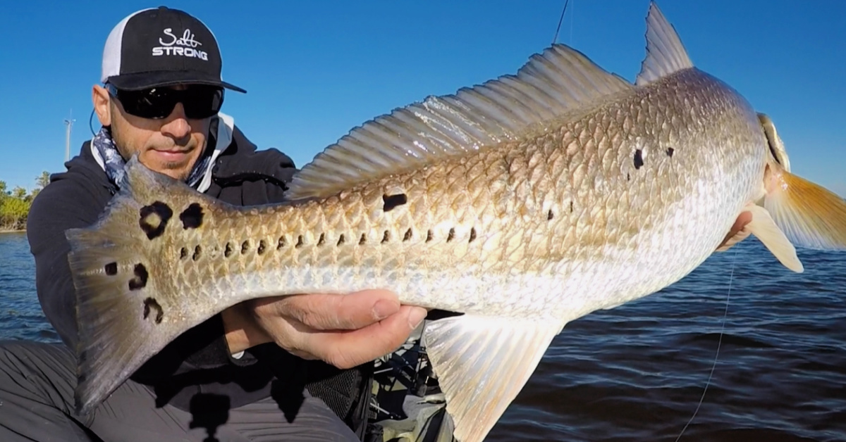 Best Summer Redfish Lures (Plus Where & When To Use Them)
