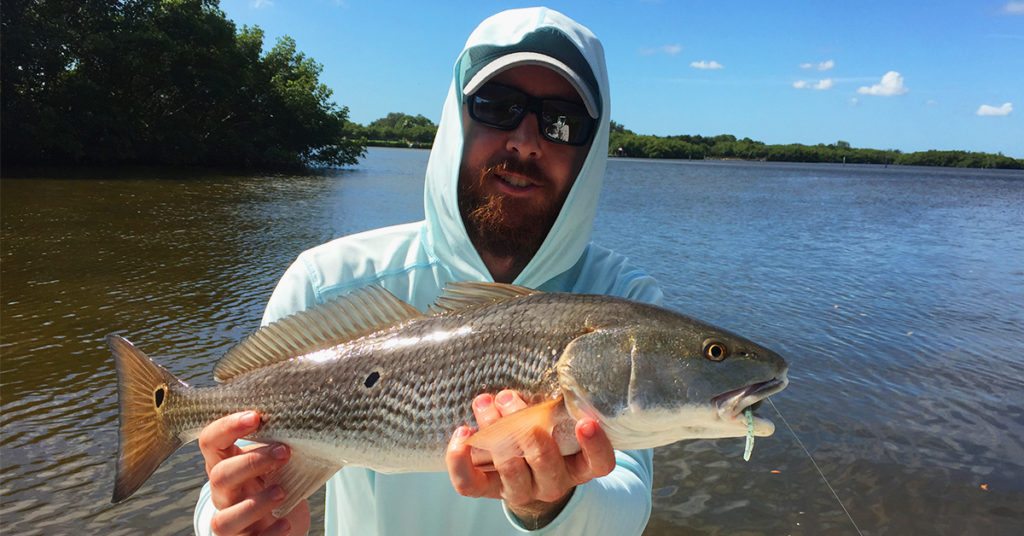 How To Catch Redfish Like A Pro [3 Shortcuts To Success]