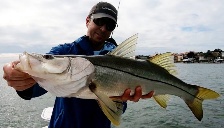 Z-Man Weedless Jig Head Review (Top Pros & Cons)