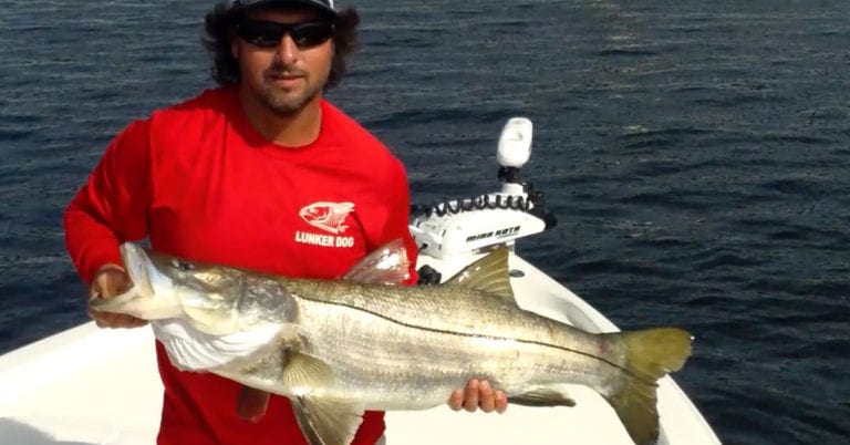 "Catching LUNKERS In People's Faces" With Lunkerdog Jeff Maggio