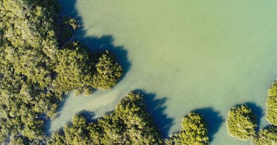 How To PREDICT Redfish & Speckled Trout Migration