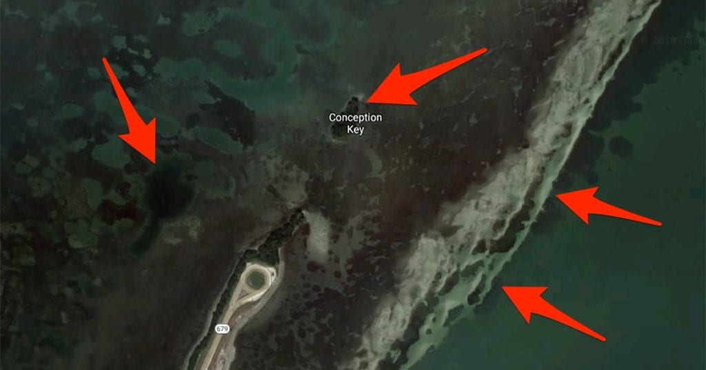 4 Must-Know Redfish Tips (Plus FREE PDF Cheat Sheet)