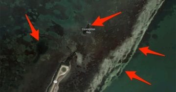 4 Must-Know Redfish Tips (Plus FREE PDF Cheat Sheet)