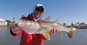 Snook Fishing Secrets From One Of The Best Snook Experts In The World