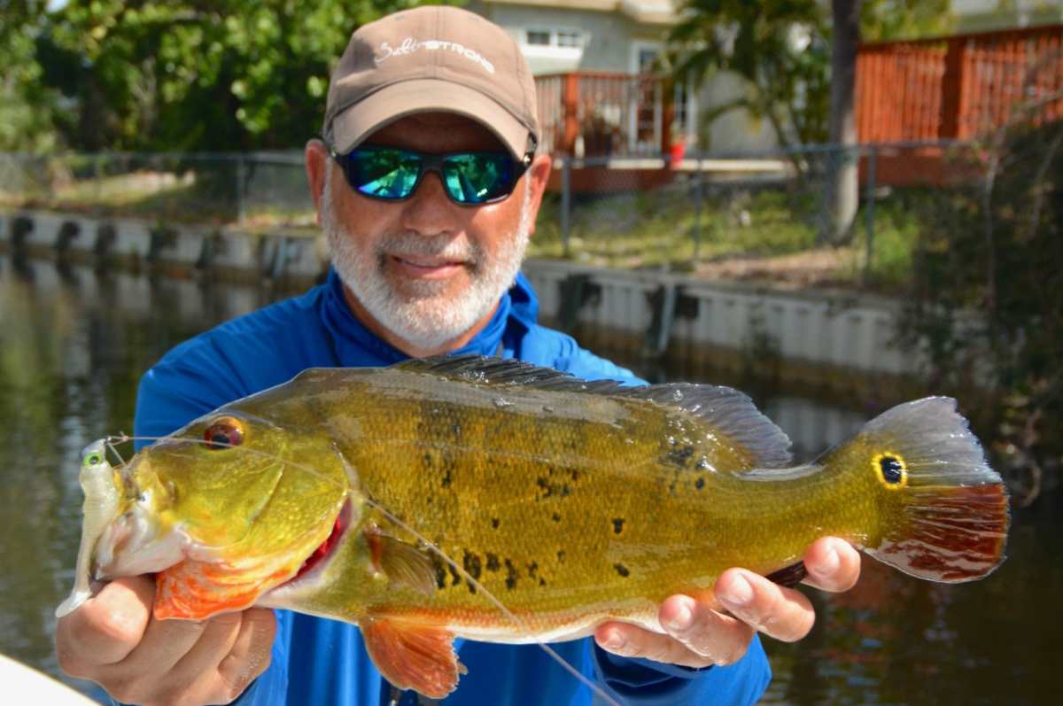 How To Catch Bass On The Best Saltwater Lures (Line, Rigs & Tactics)