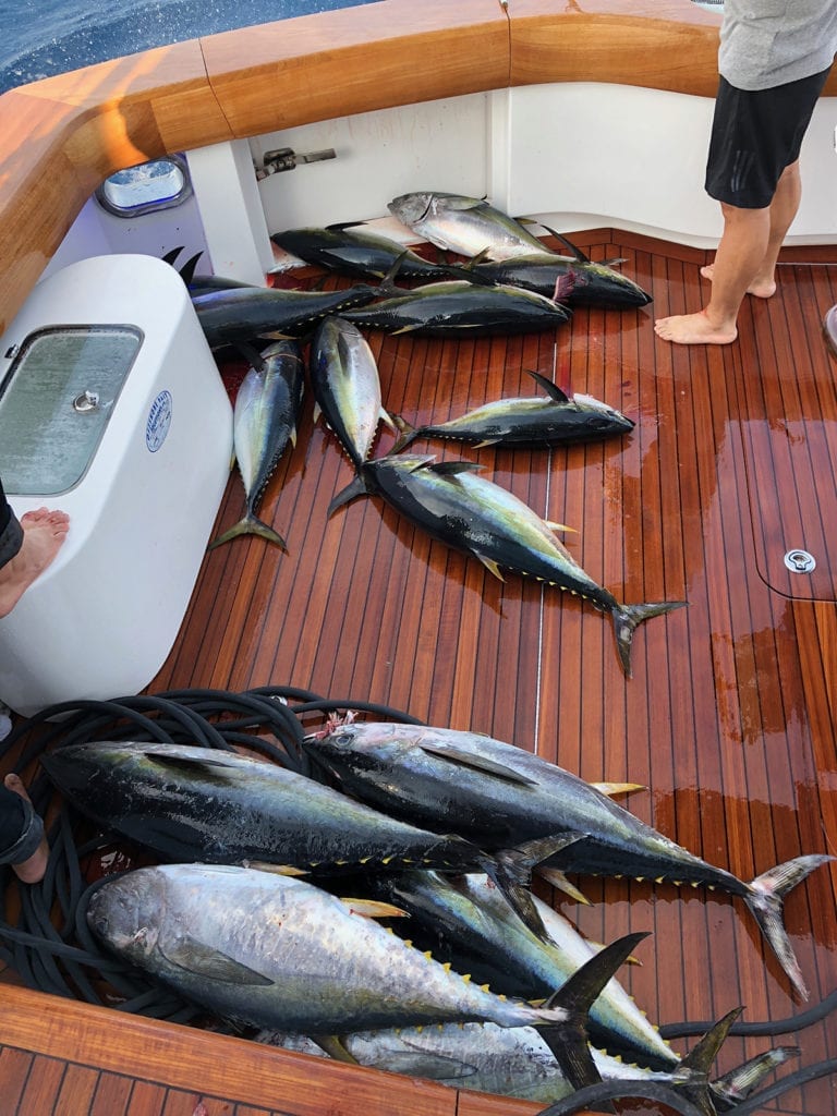 Pacific Coast Yellowfin Tuna Tips [Tips From Tuna Pros]